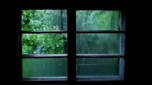 Window Rain ⛈️The Best Window Rain Sounds For Sleeping⛈️